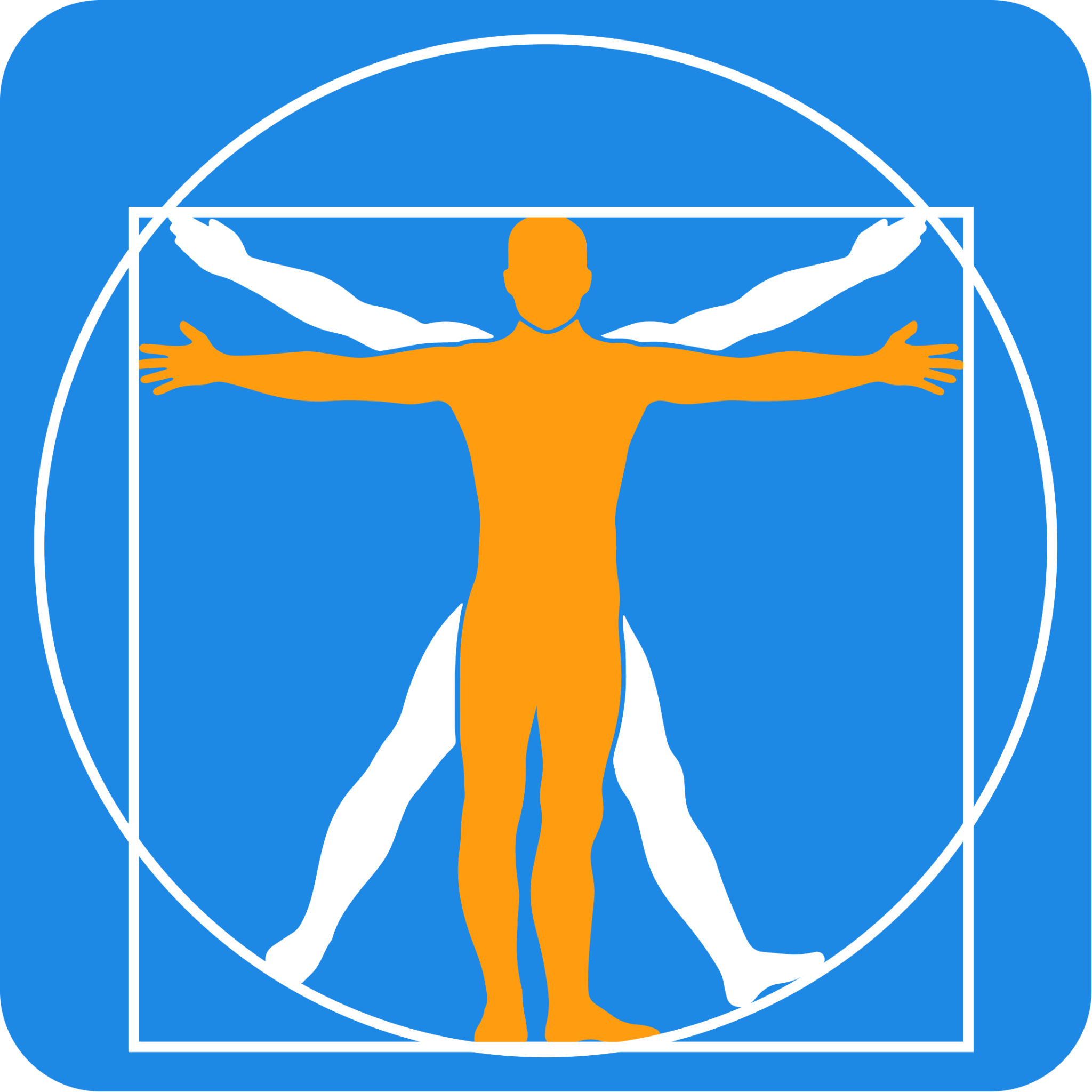 Saneftec – Technology, Healthcare, Home of APECS – posture analysis software